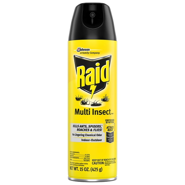 (2 pack) Raid Multi Insect Killer 7, Indoor & Outdoor Bug Spray, 15 oz ...