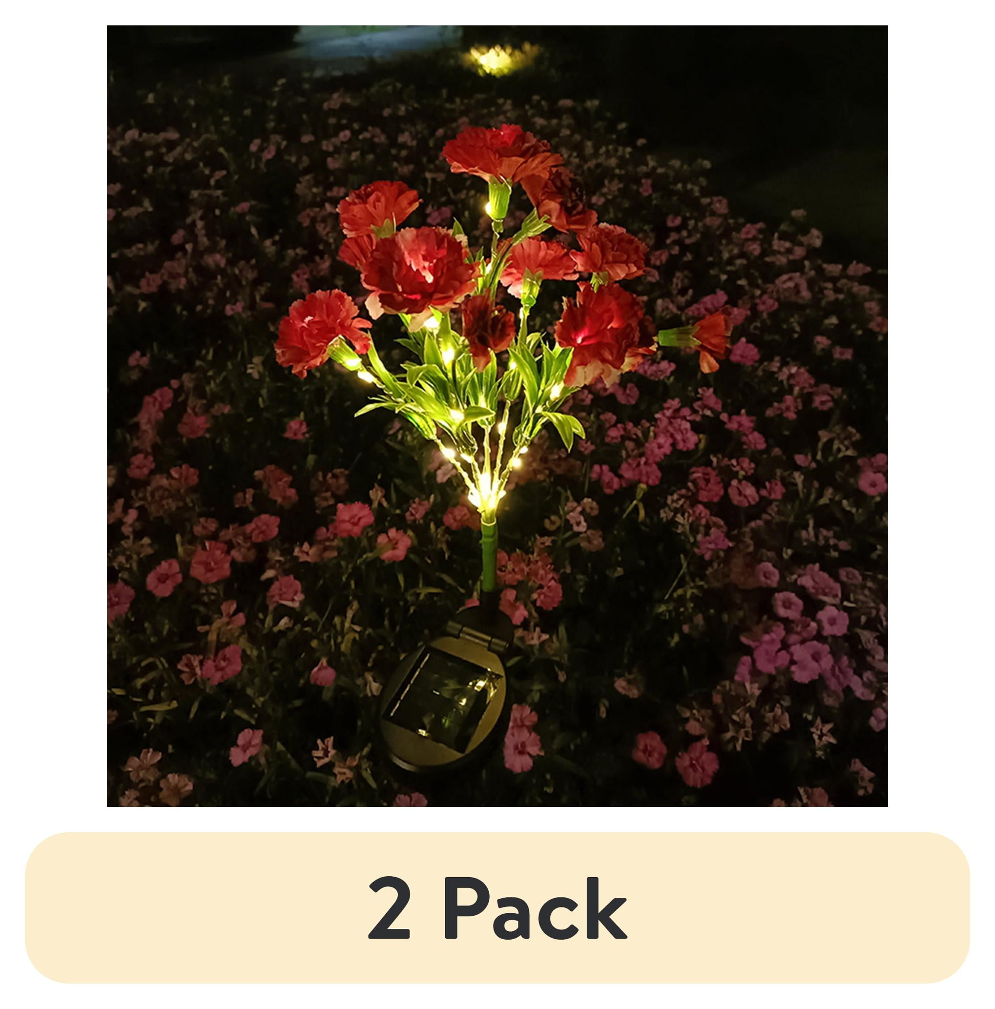 (2 pack) DYTTDG Solar Red LED Landscape and Walkway Light - Walmart.com