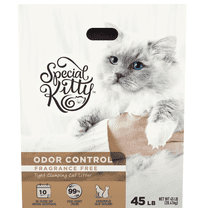 (2 pack) Special Kitty Clumping Clay Cat Litter, Unscented, 45 lbs Box ...