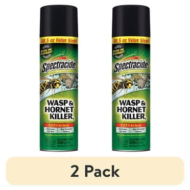 (2 pack) Spectracide Wasp & Hornet Killer Aerosol Spray, Non-Staining ...