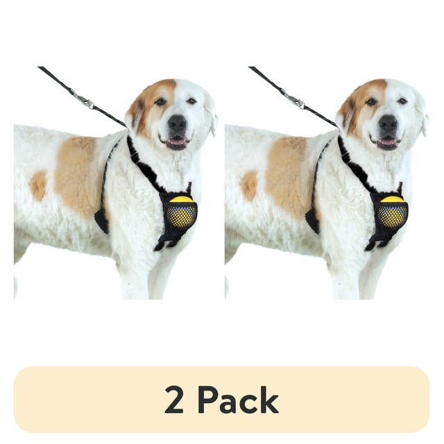 (2 pack) Sporn Nylon Mesh Non-Pulling Dog Harness, Red, L/XL (22" to 36 ...