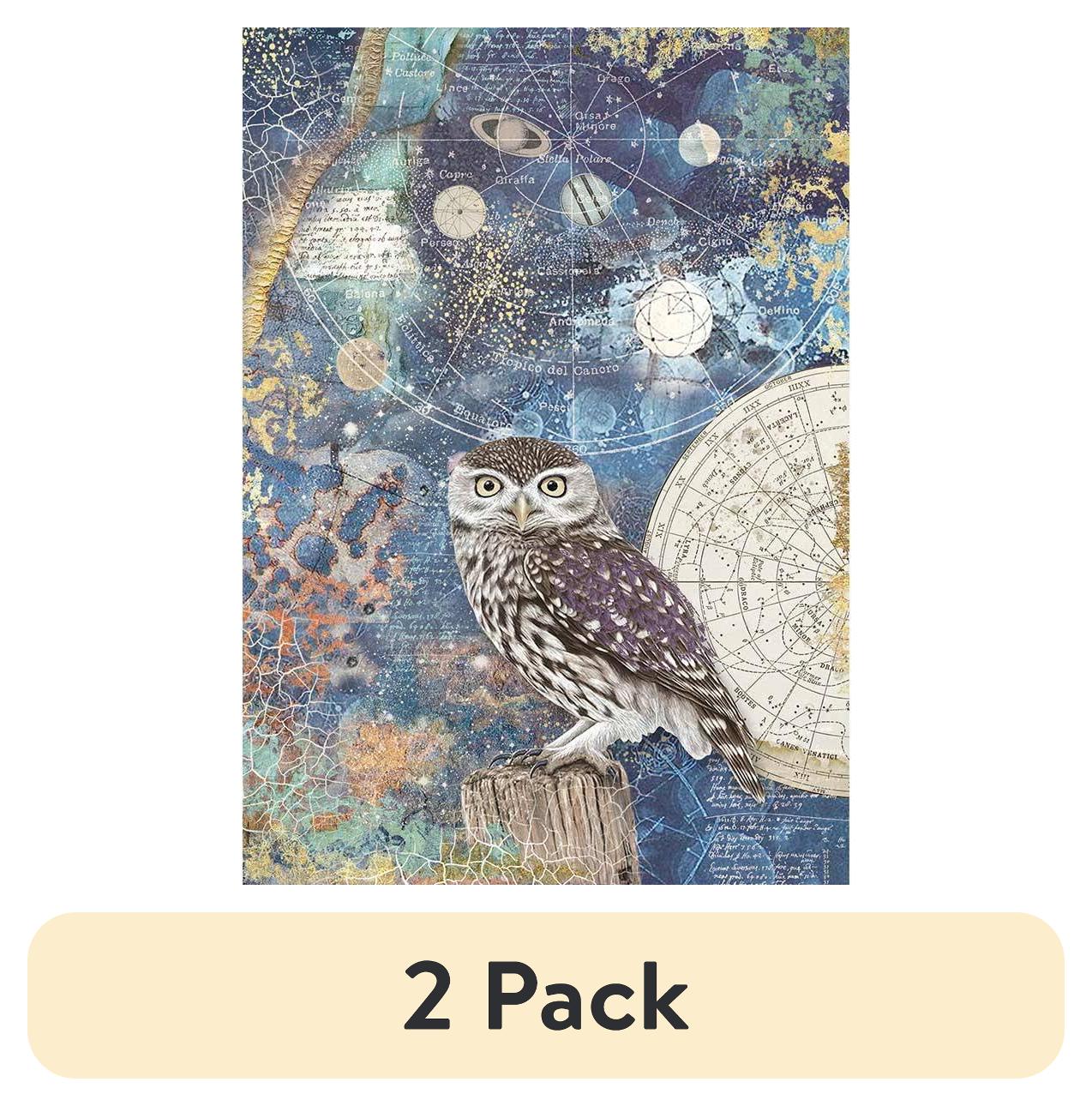 (2 pack) Stamperia Rice Paper Sheet A4-Cosmos Owl - Walmart.com
