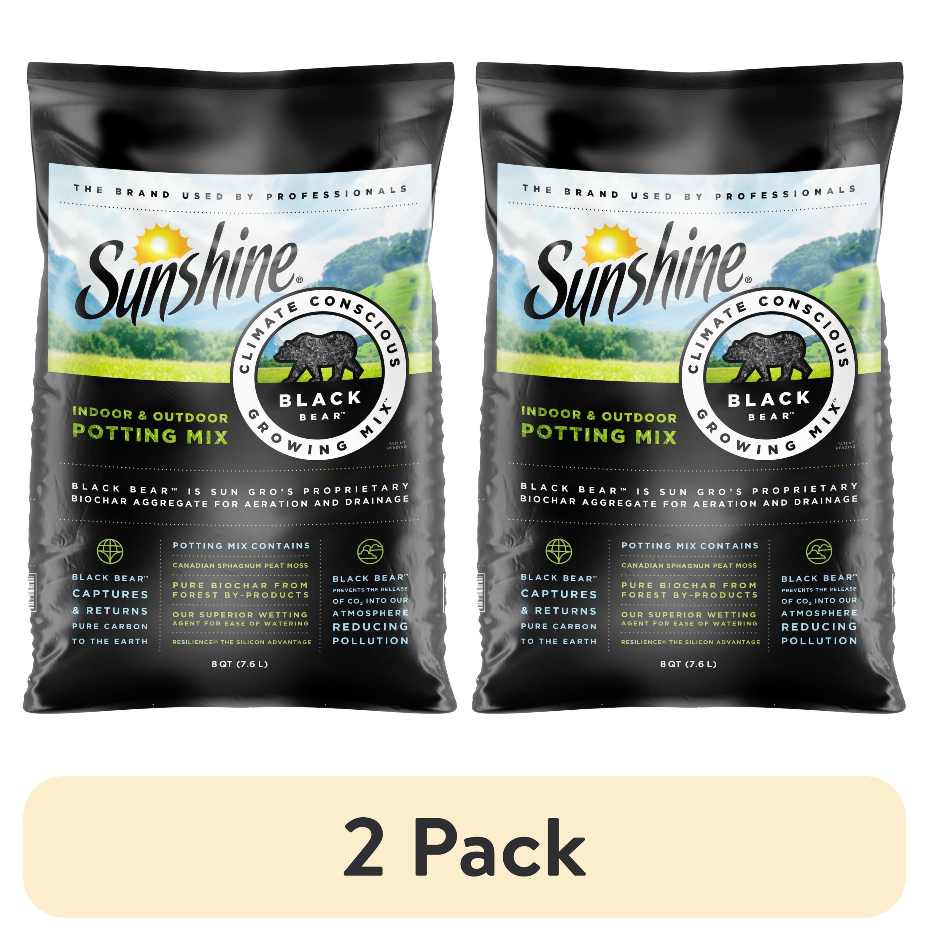 (2 pack) Sunshine Black Bear Indoor Climate Conscious Indoor Outdoor ...