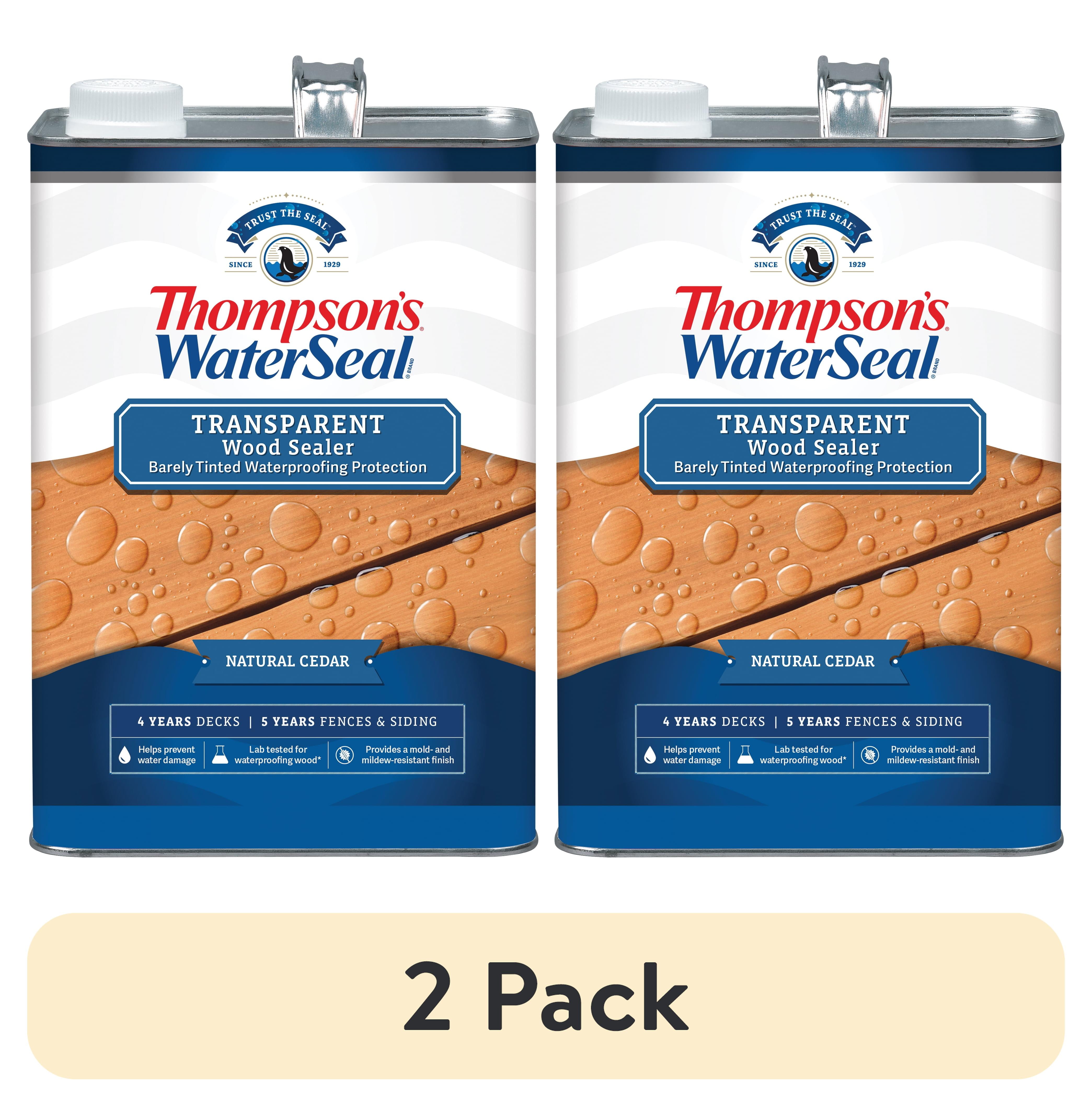 (2 pack) Thompson's WaterSeal TH.091601-16 Transparent Wood Sealer ...
