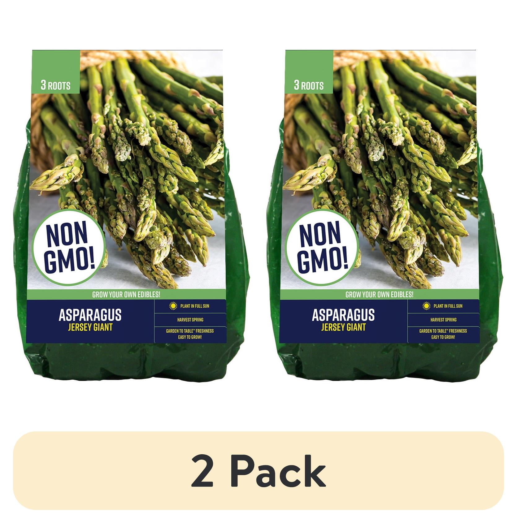 (2 pack) Van Zyverden Asparagus Jersey Giant (Set of 3 Dormant Bare ...