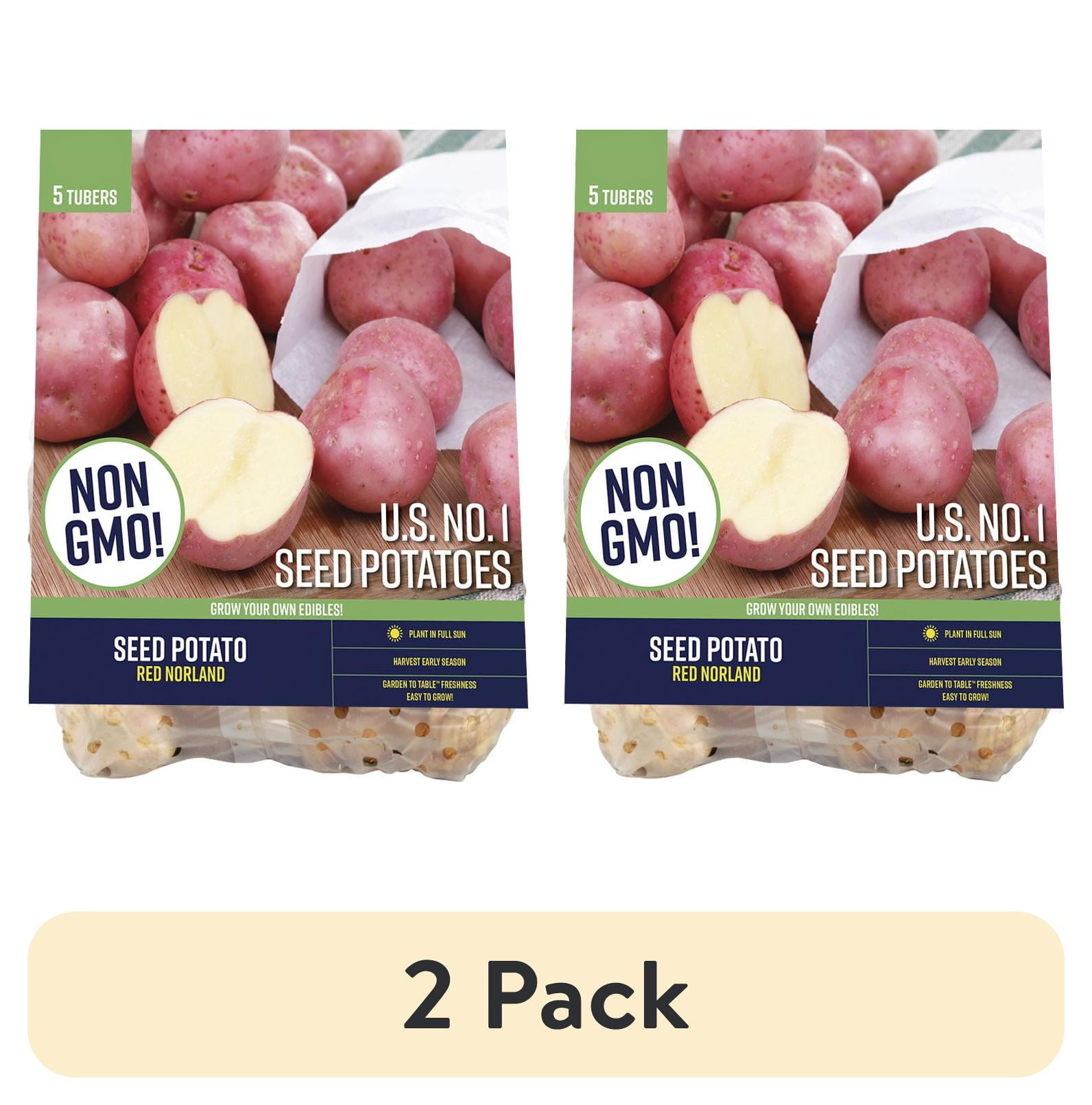(2 pack) Van Zyverden Seed Potato Red Norland (Set of 5 Dormant Tubers ...
