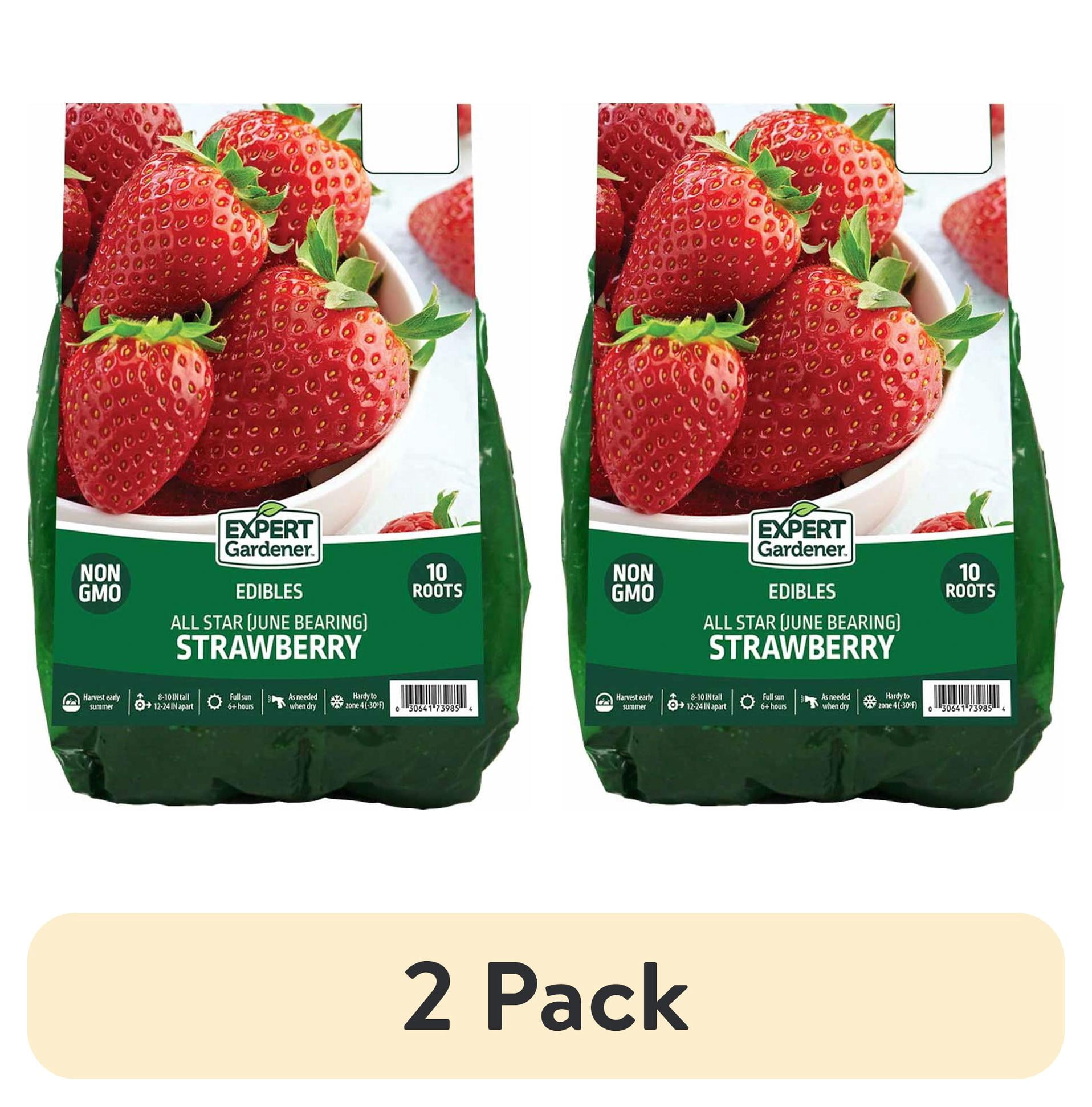 (2 pack) Expert Gardener Strawberry All Star Set of 10 Dormant Bare ...