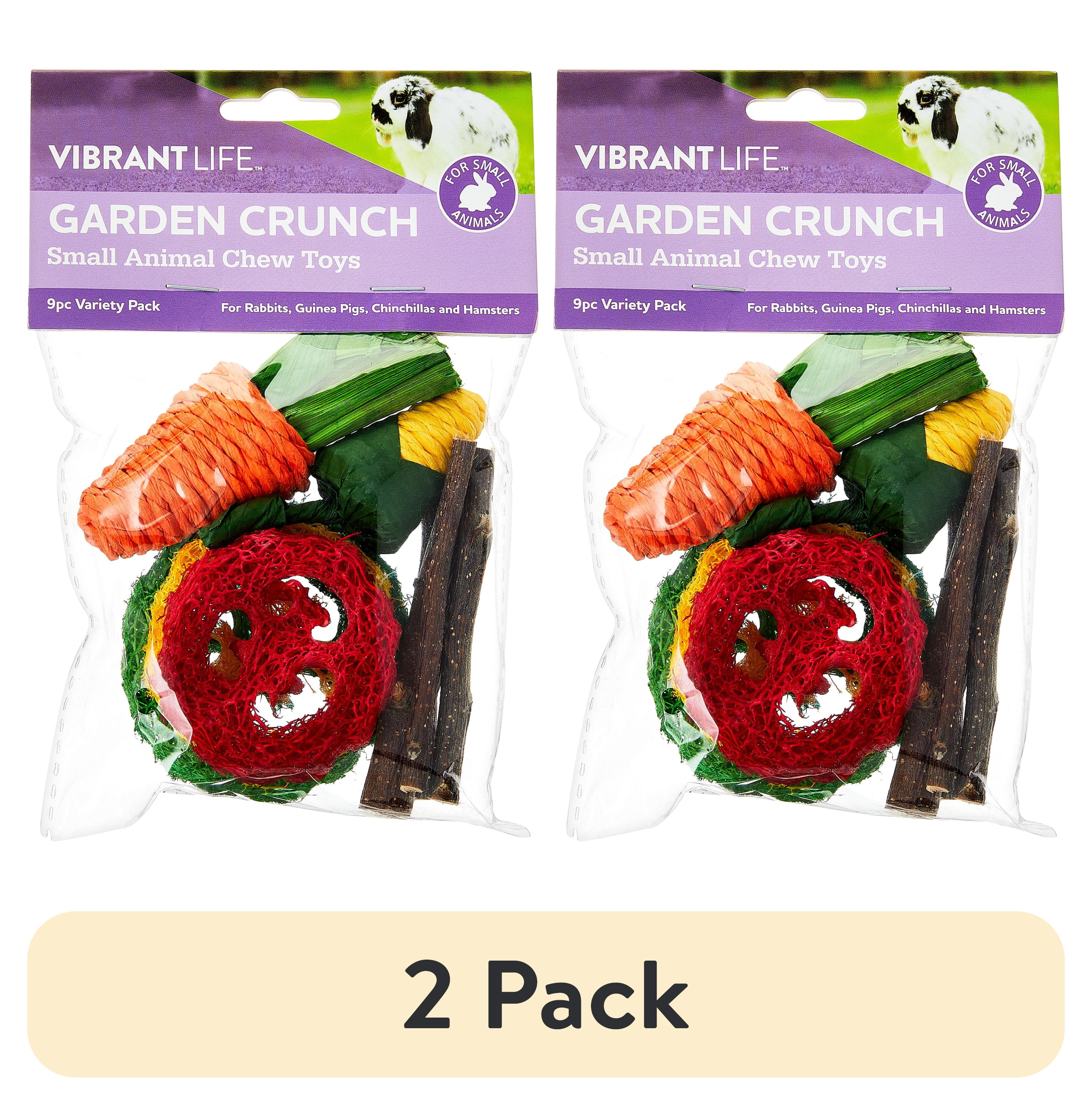 (2 pack) Vibrant Life 9-Piece Variety Pack of Garden Crunch Chews for ...