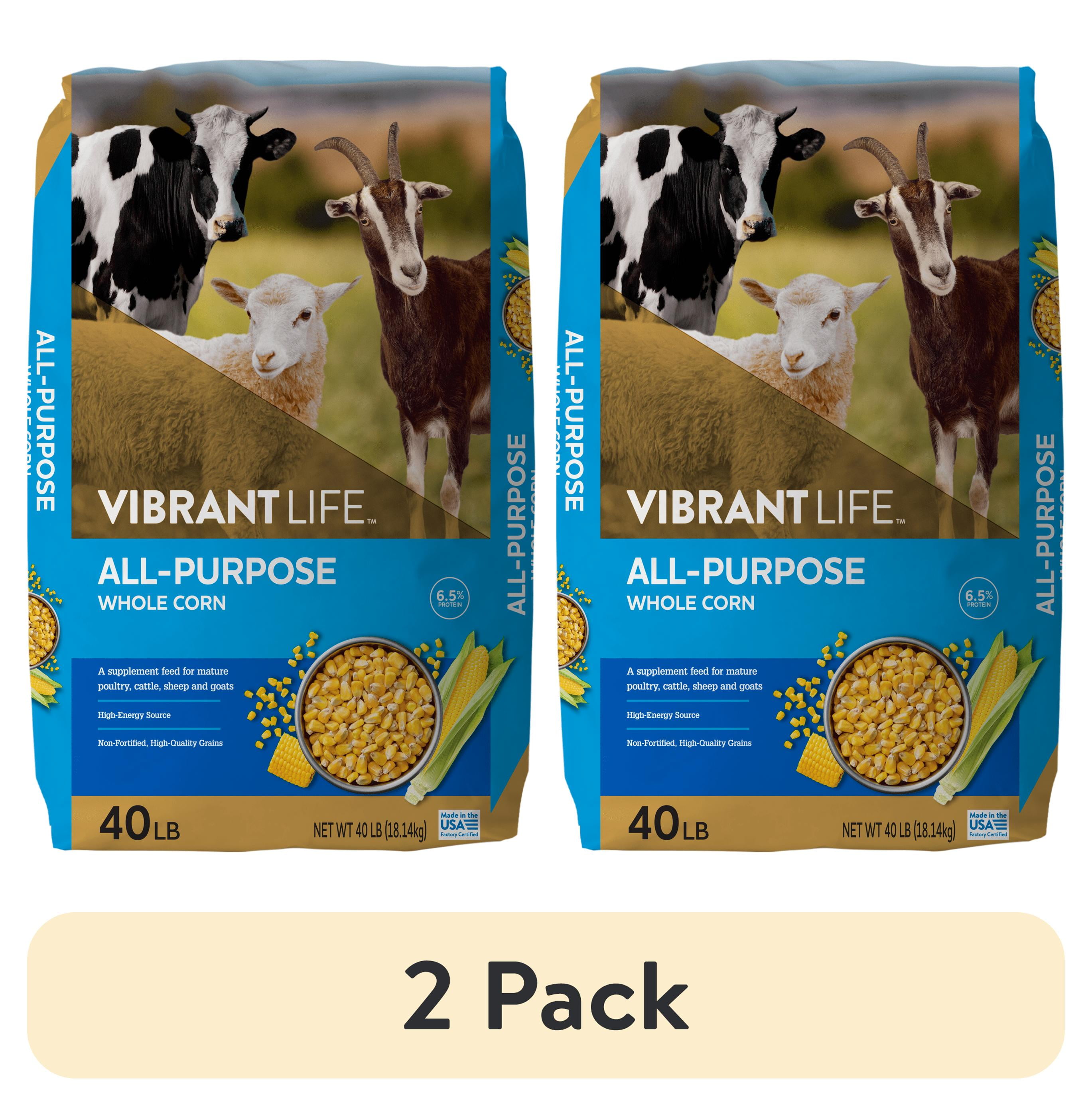 (2 pack) Vibrant Life All-Purpose Whole Corn, 40 lb Bag - Walmart ...