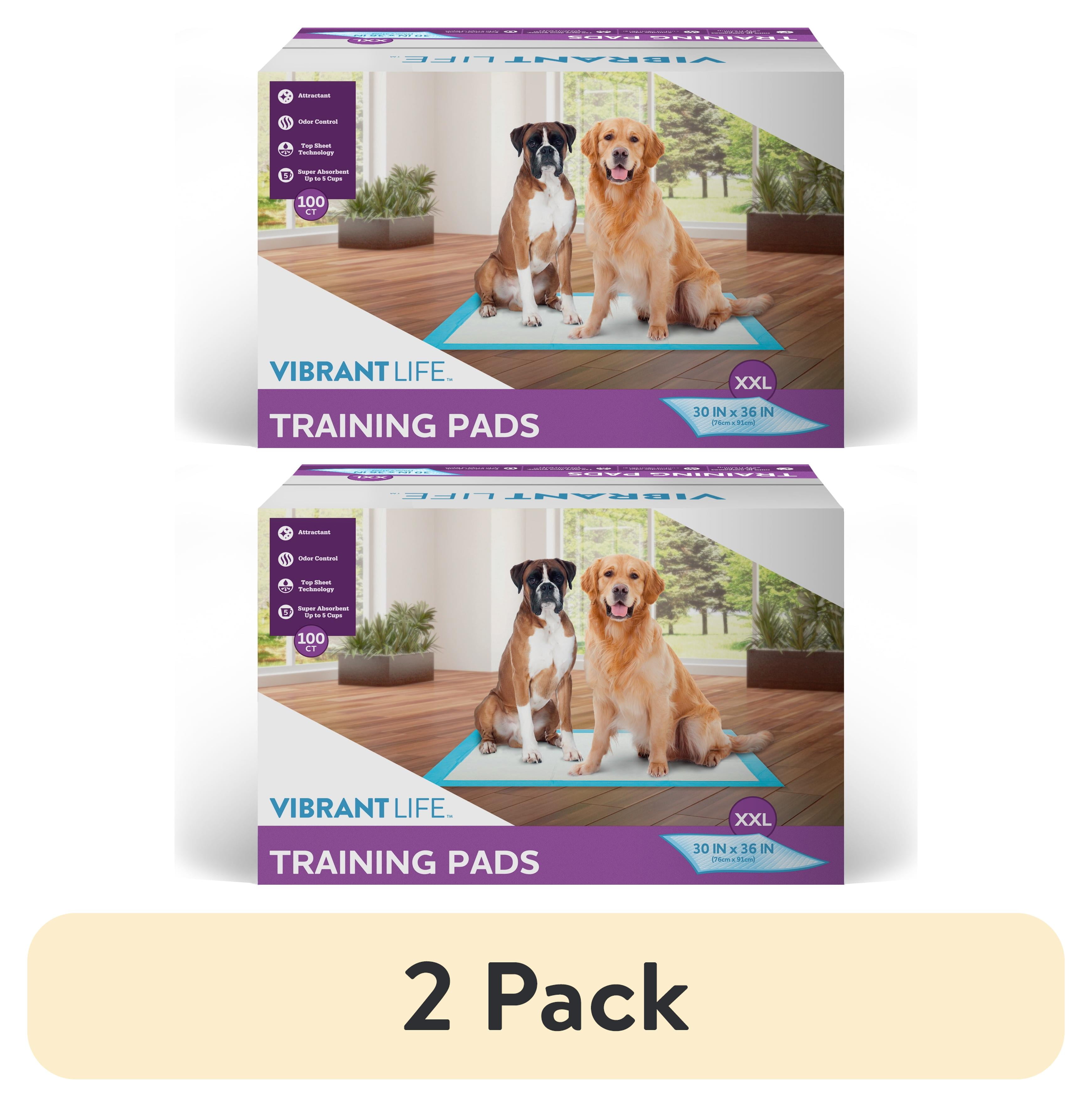(2 pack) Vibrant Life Training Pads – Super Absorbent, Leak Proof ...