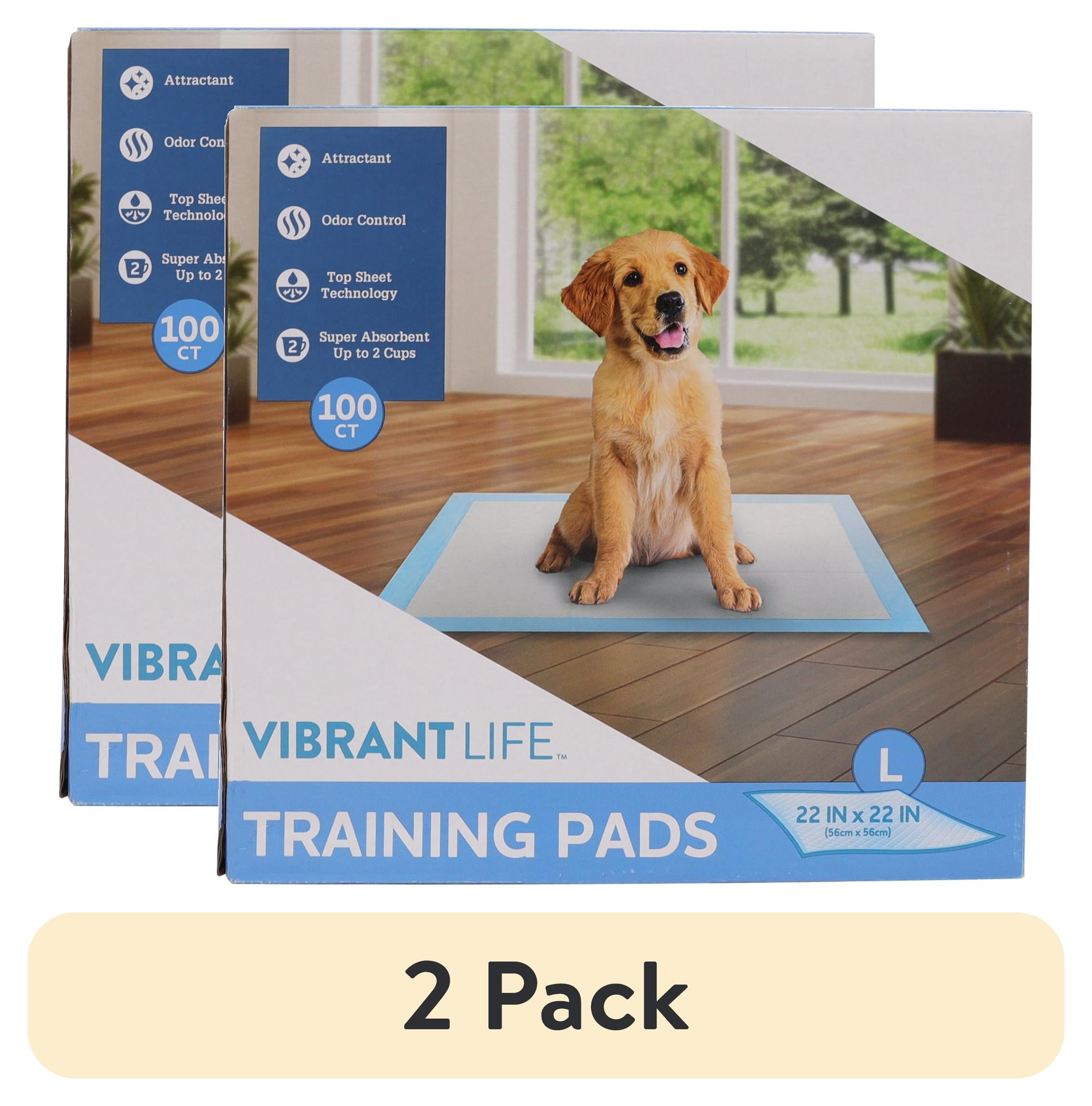 (2 pack) Vibrant Life Training Pads, Large, 22 in x 22 in, 100 Count ...