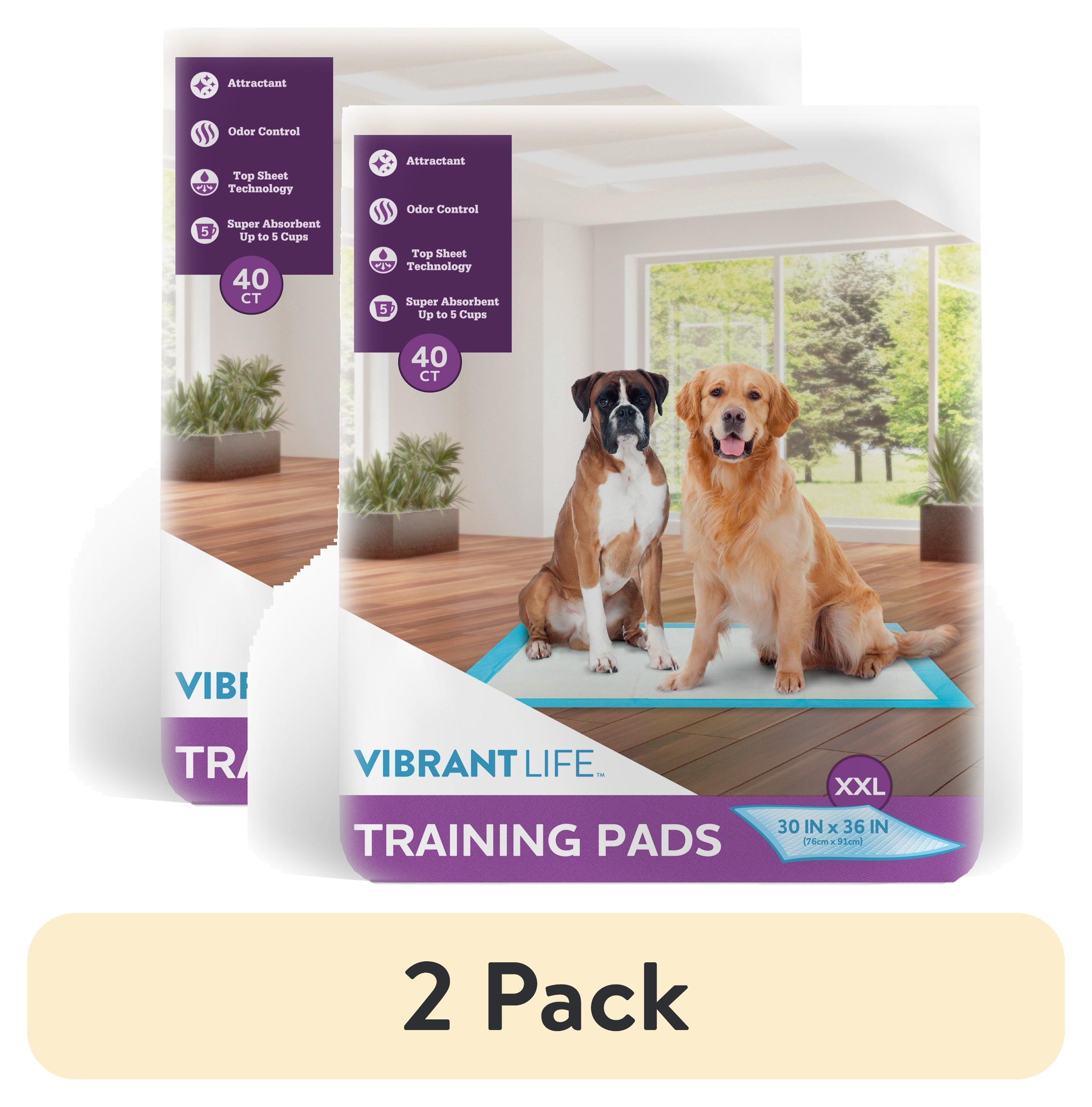 (2 pack) Vibrant Life Training Pads – Super Absorbent, Leak Proof ...