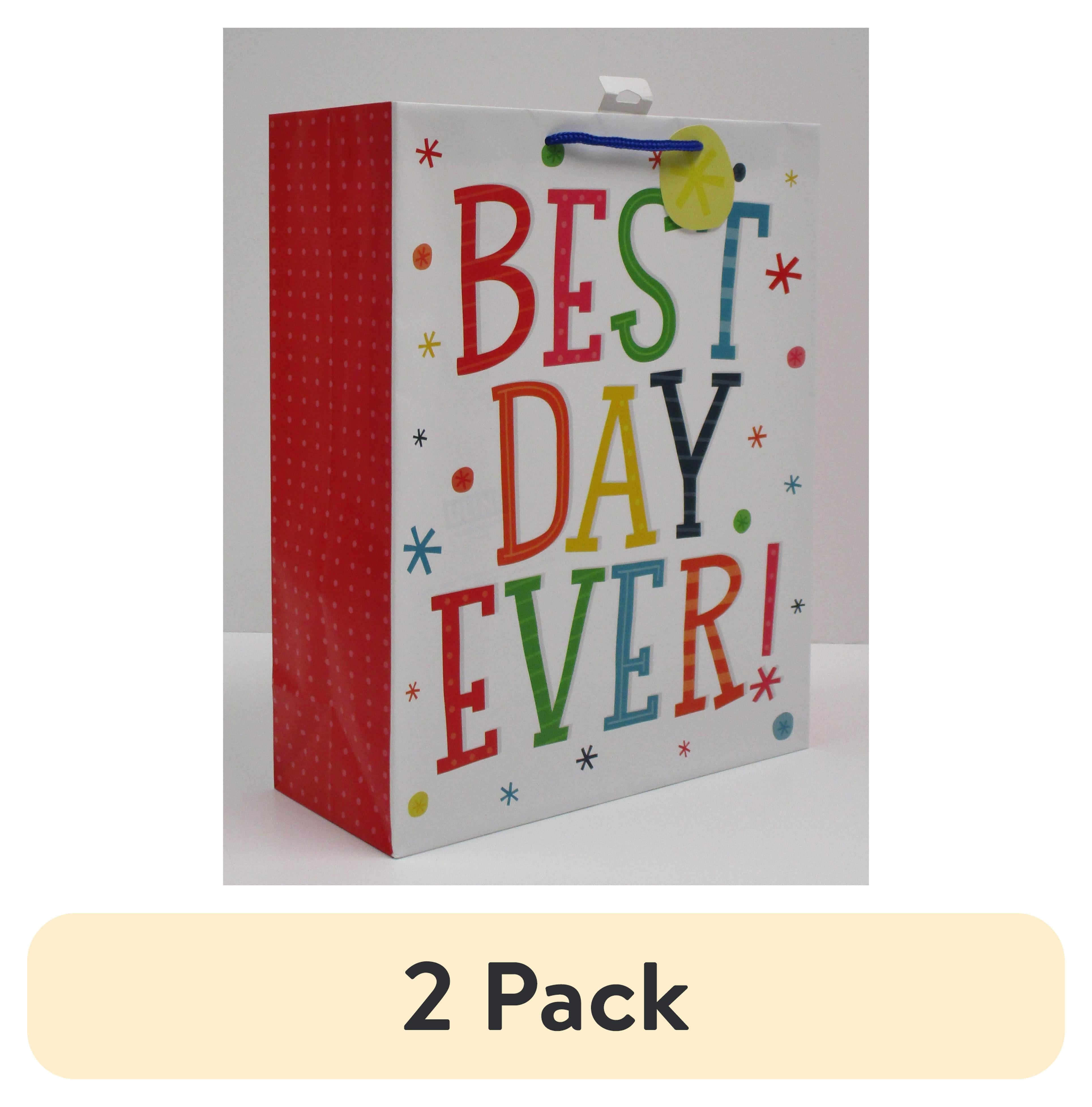 (2 pack) Way to Celebrate Everyday Extra Large White Paper Gift Bag ...