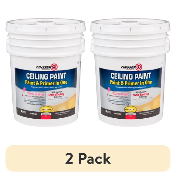 White Ceiling Paint