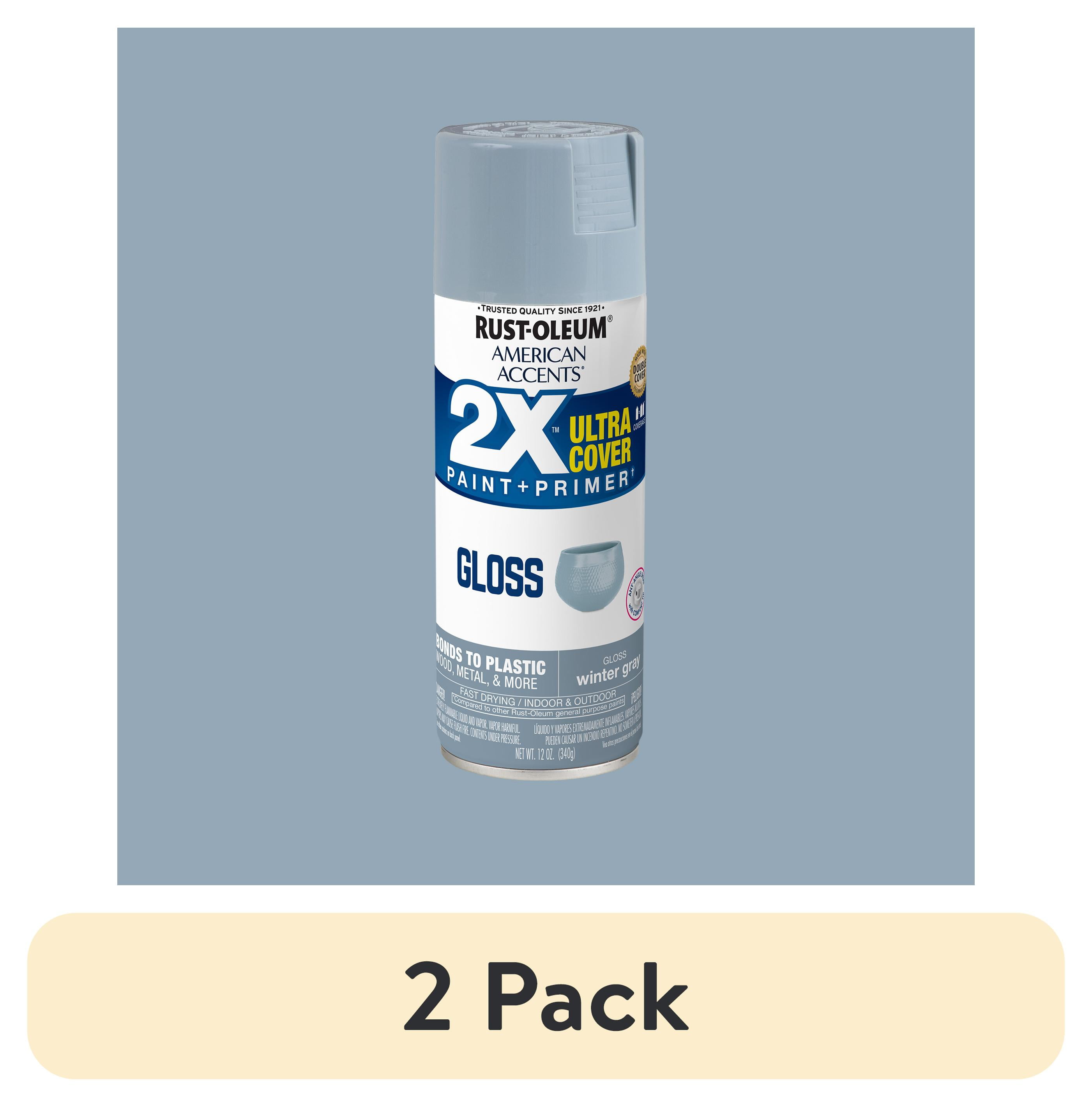 (2 pack) Winter Gray, Rust-Oleum American Accents 2X Ultra Cover Gloss ...