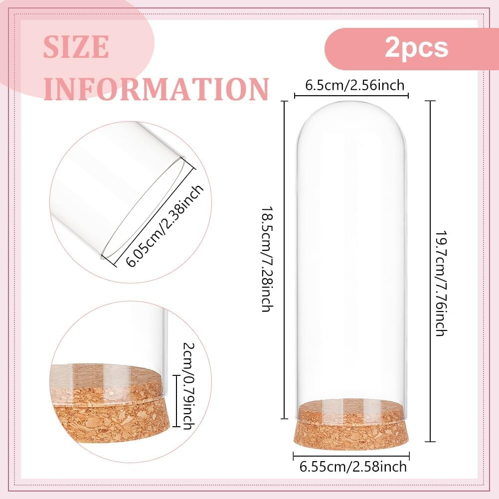 2 pc Glass Dome Cover Decorative Display Case Cloche Bell Jar Terrarium ...
