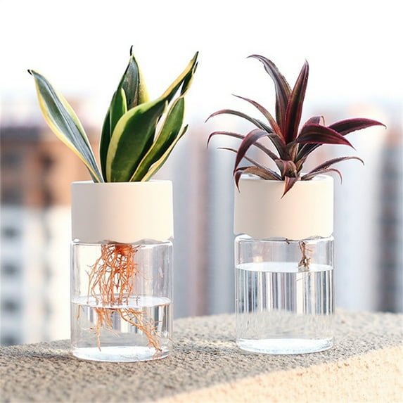 2 pcs Miniature Transparent Hydroponic Plant Pot, Home Decoration Soil ...