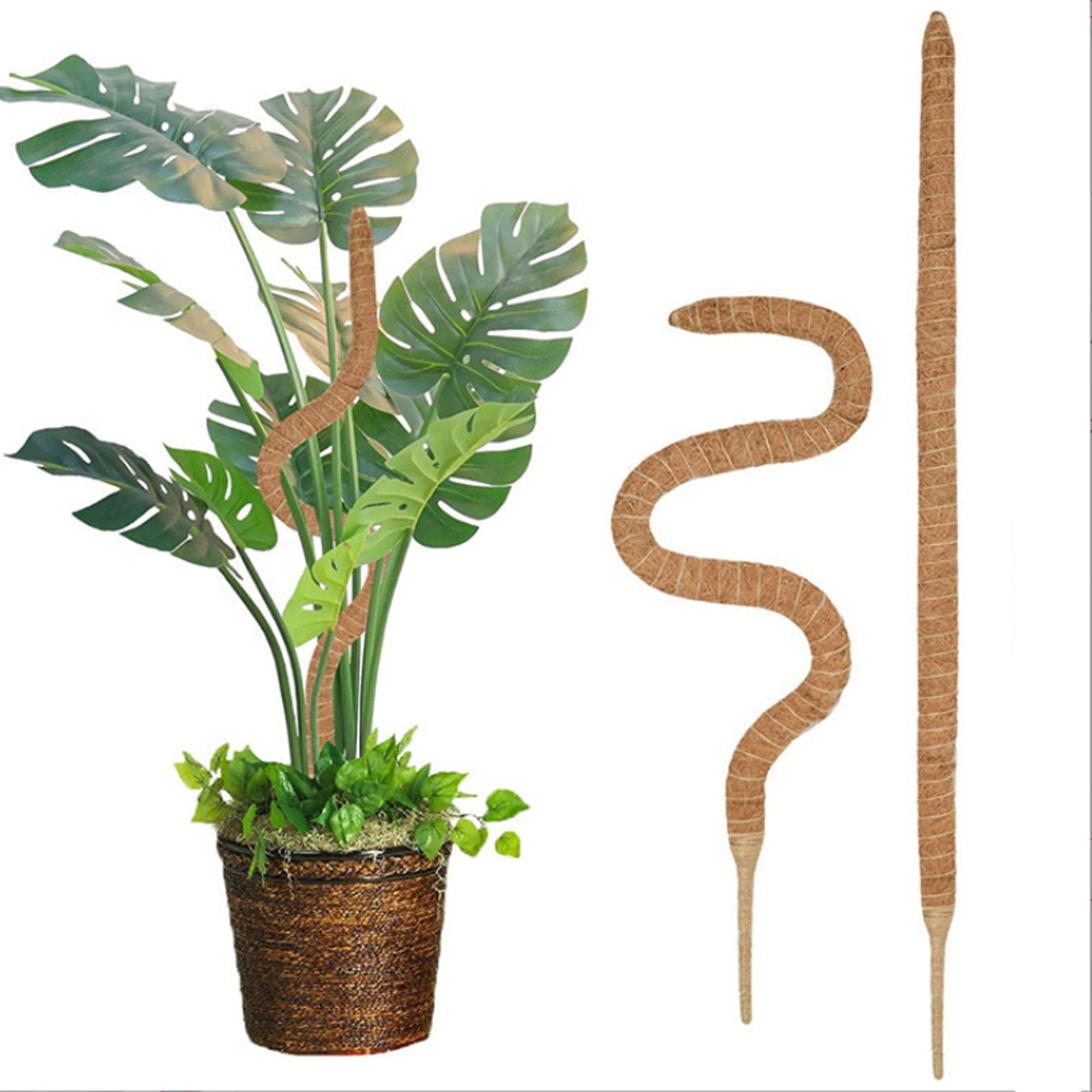 2 pcs Moss Pole, Bendable Moss Pole for Plants Monstera, Moss Poles for ...