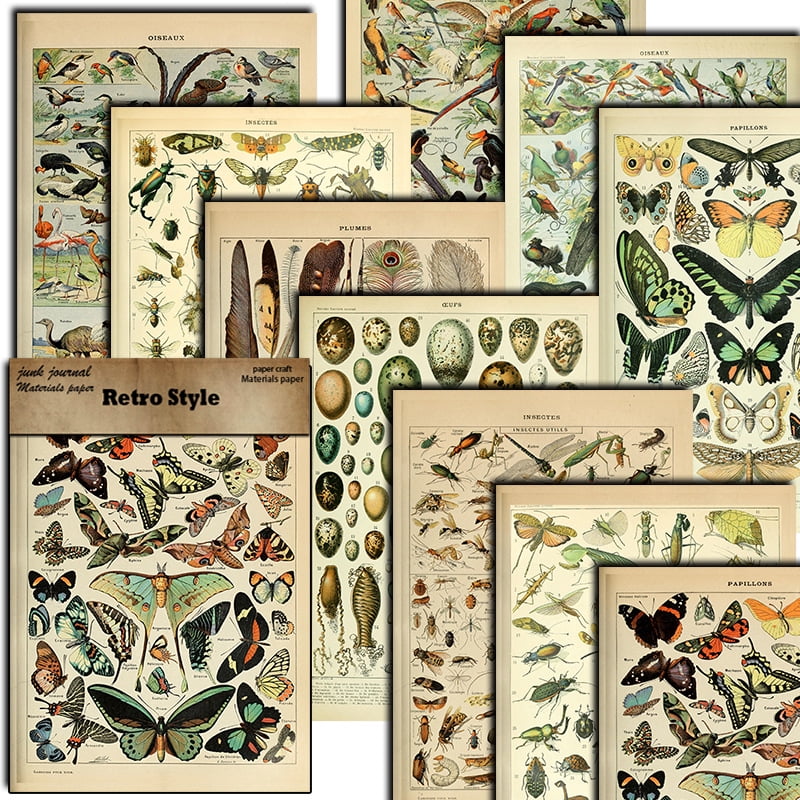 2 set 10pcs Insect Scrapbook Paper Collage Creative Journal Decoration ...