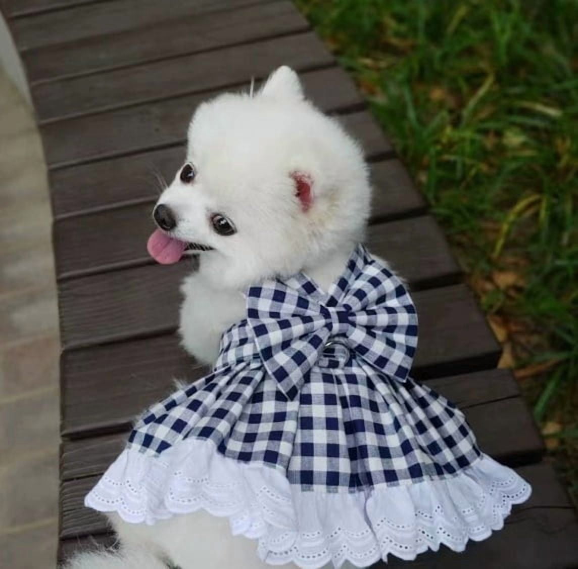 2 sets of black plaid lace skirts for pets, JK plaid skirts, harnesses ...