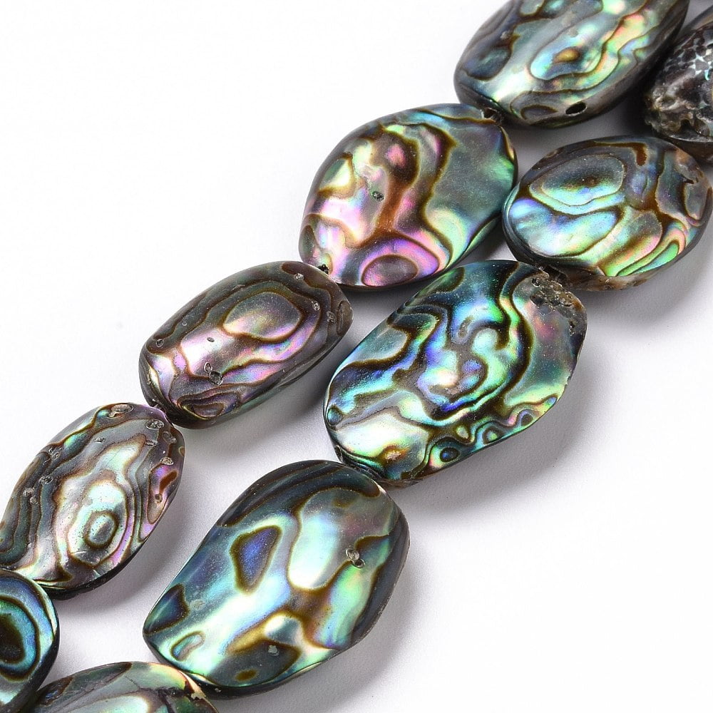 2 strand Natural Abalone Shell/Paua Shell Beads Flat Oval Colorful 24 ...