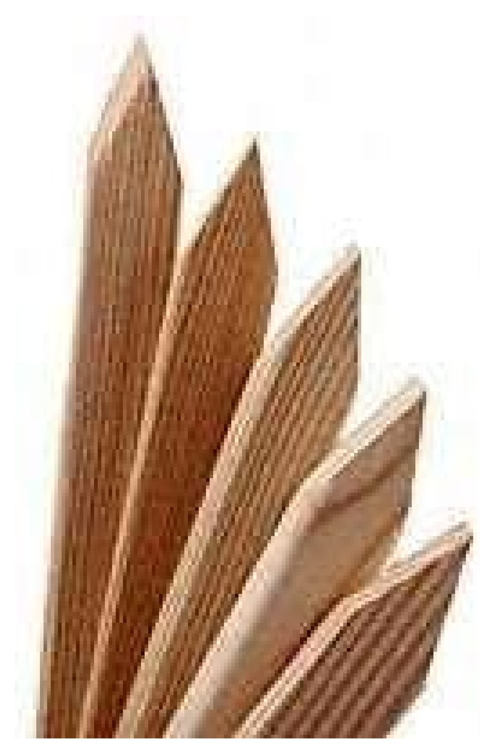 2 x 2-36" Grade Stake (12 Pack) - Walmart.com