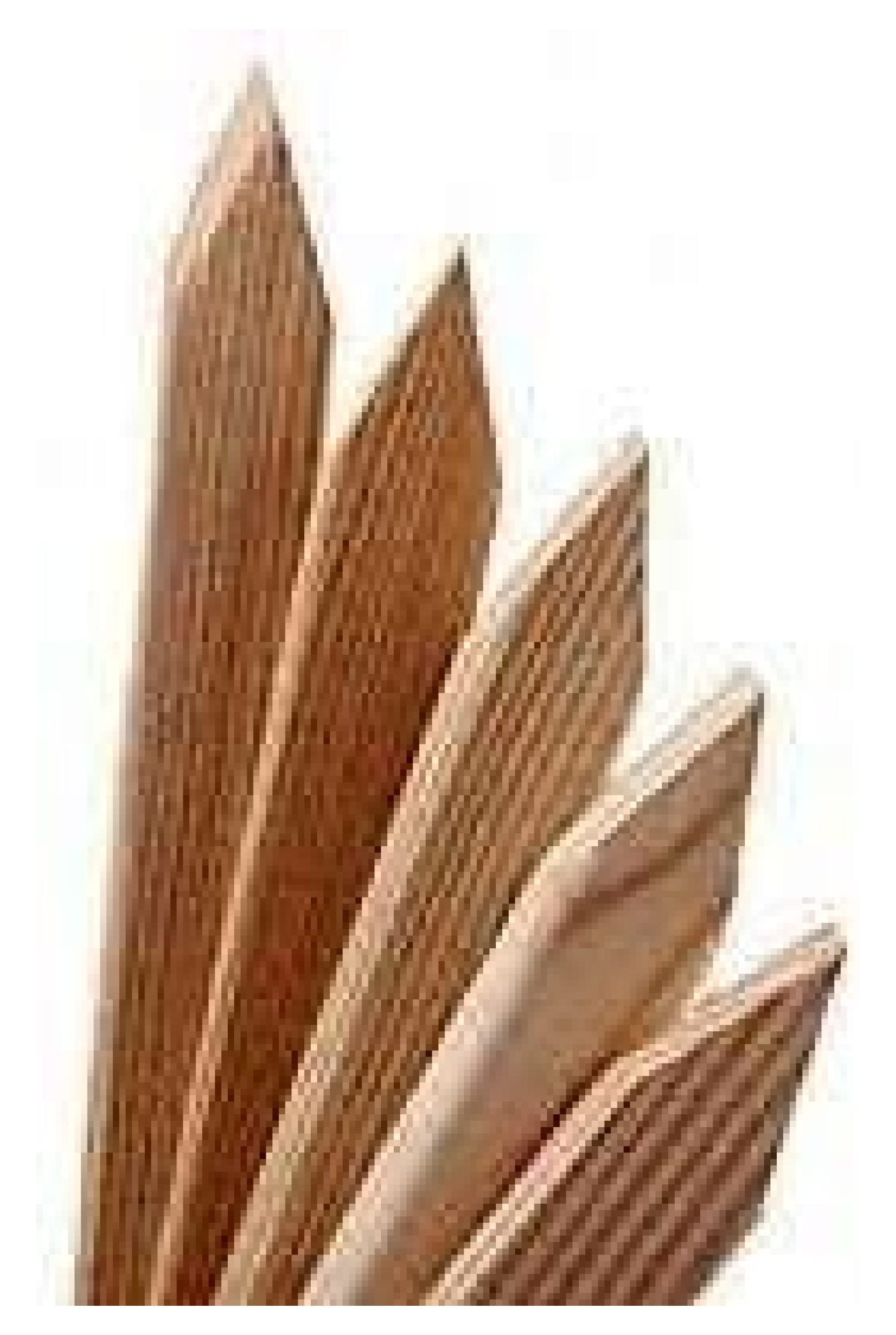 2 x 2-36" Grade Stake (12 Pack) - Walmart.com