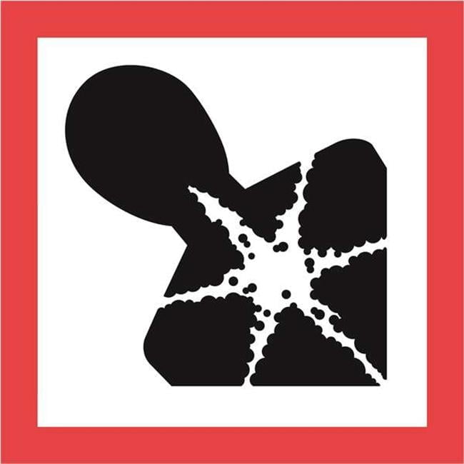 2 x 2 in. Pictogram - Health Hazard Labels, Red, White & Black - Roll ...