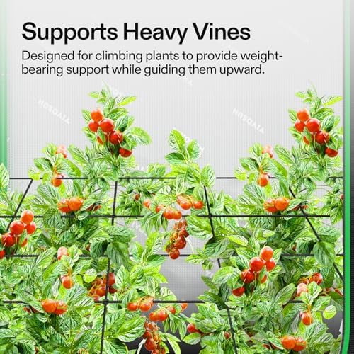 2 x 4Ft. Elastic Trellis Netting with 4 Hooks for Climbing Plants ...