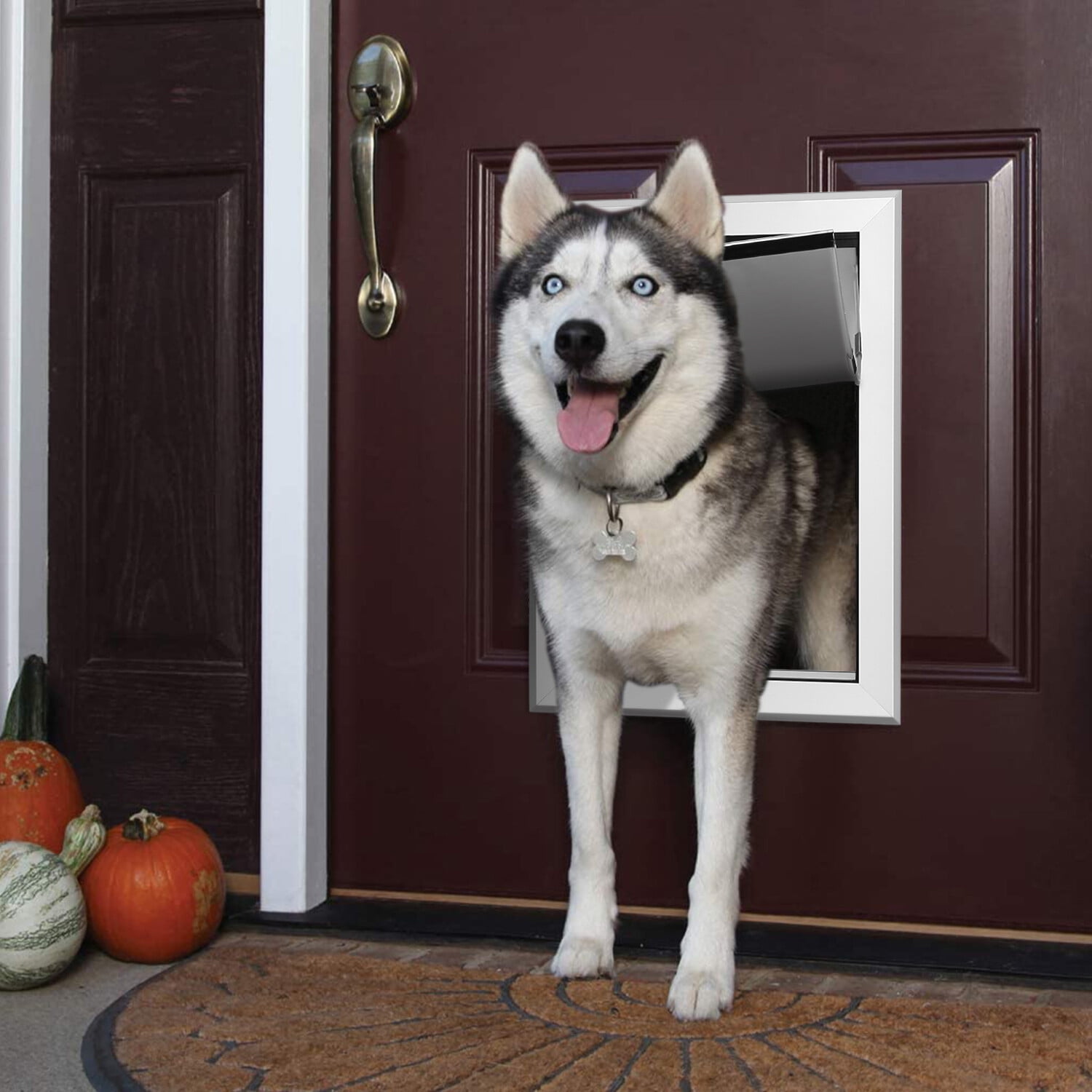 20*14 Aluminum Large Pet Dogs Door Double Flap Magnetic Lockable Screen ...