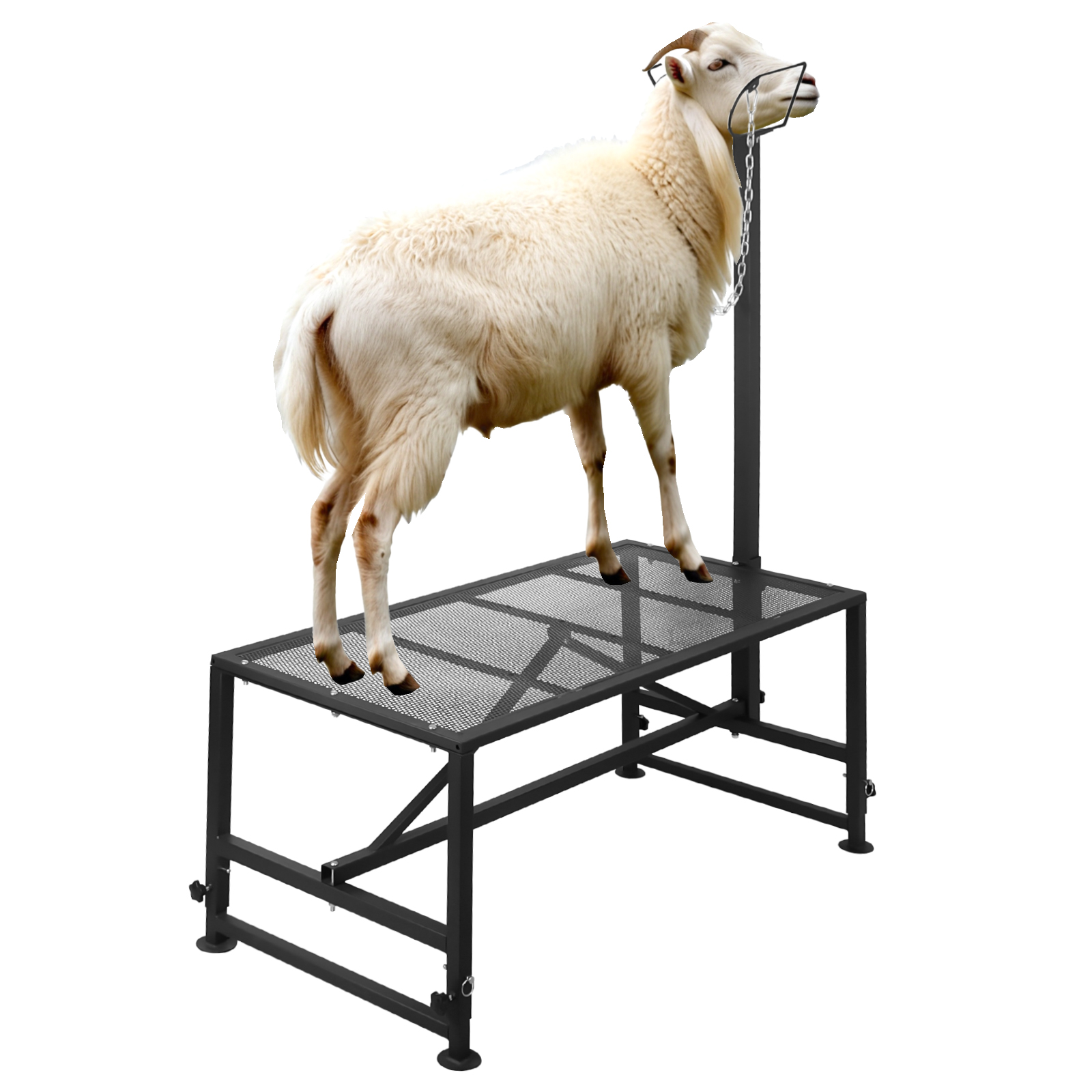 20"-34" Adjustable Height Sheep Trimming Stand, 500 LBS Mesh Platform ...