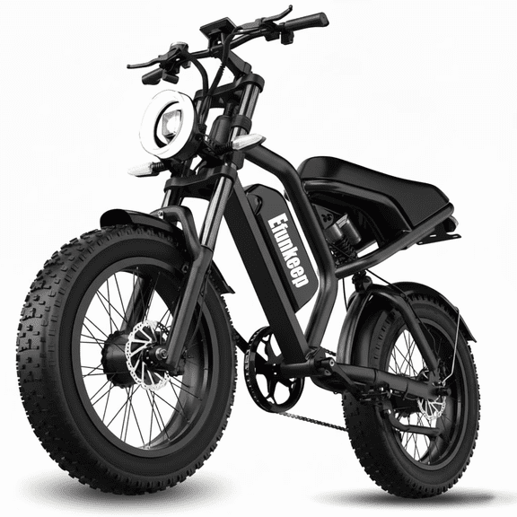 20"X4.0 Fat Tire Ebike for Adults,1000W Peak Motor, 48V 20AH Removable ...