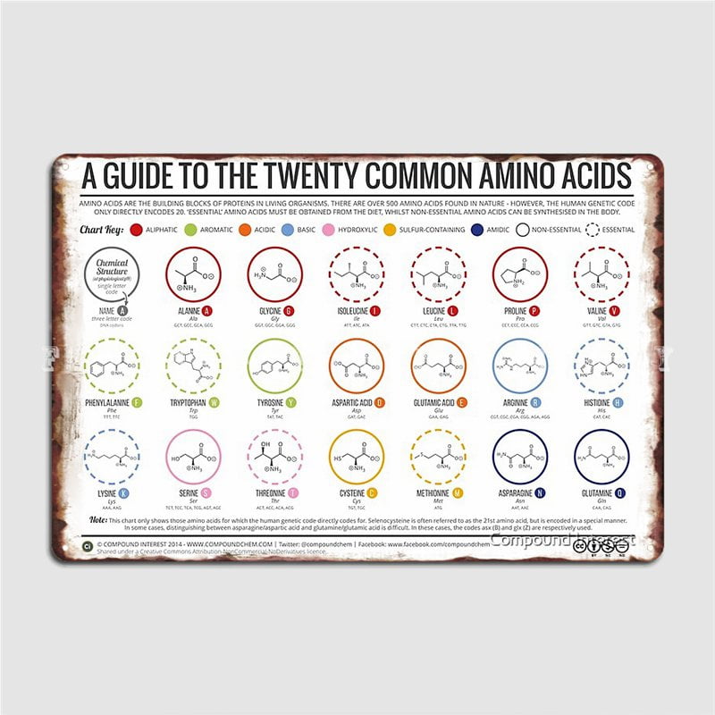 20 Amino Acids Metal Plaque Poster Garage Decoration Printing Pub ...