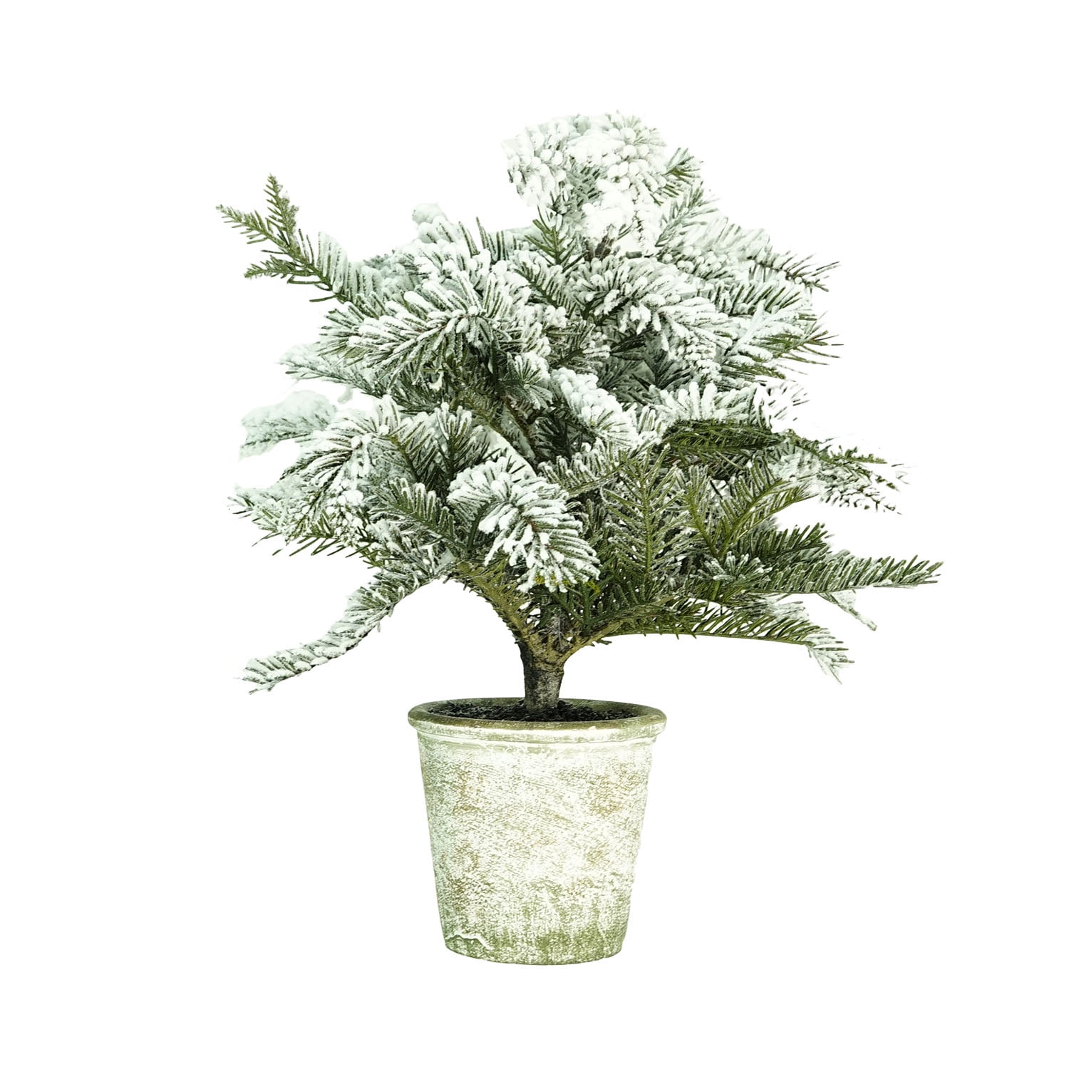 Northlight 20" Unlit Artificial Flocked Pine Tree in Pot - Walmart.com