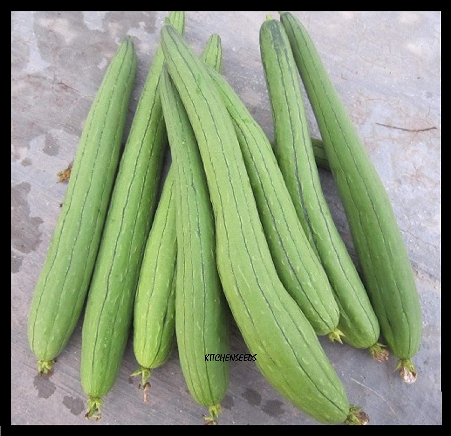 (20) Asian Vegetable Edible Luffa Seeds, Long Smooth Sponge Gourd, Muop ...