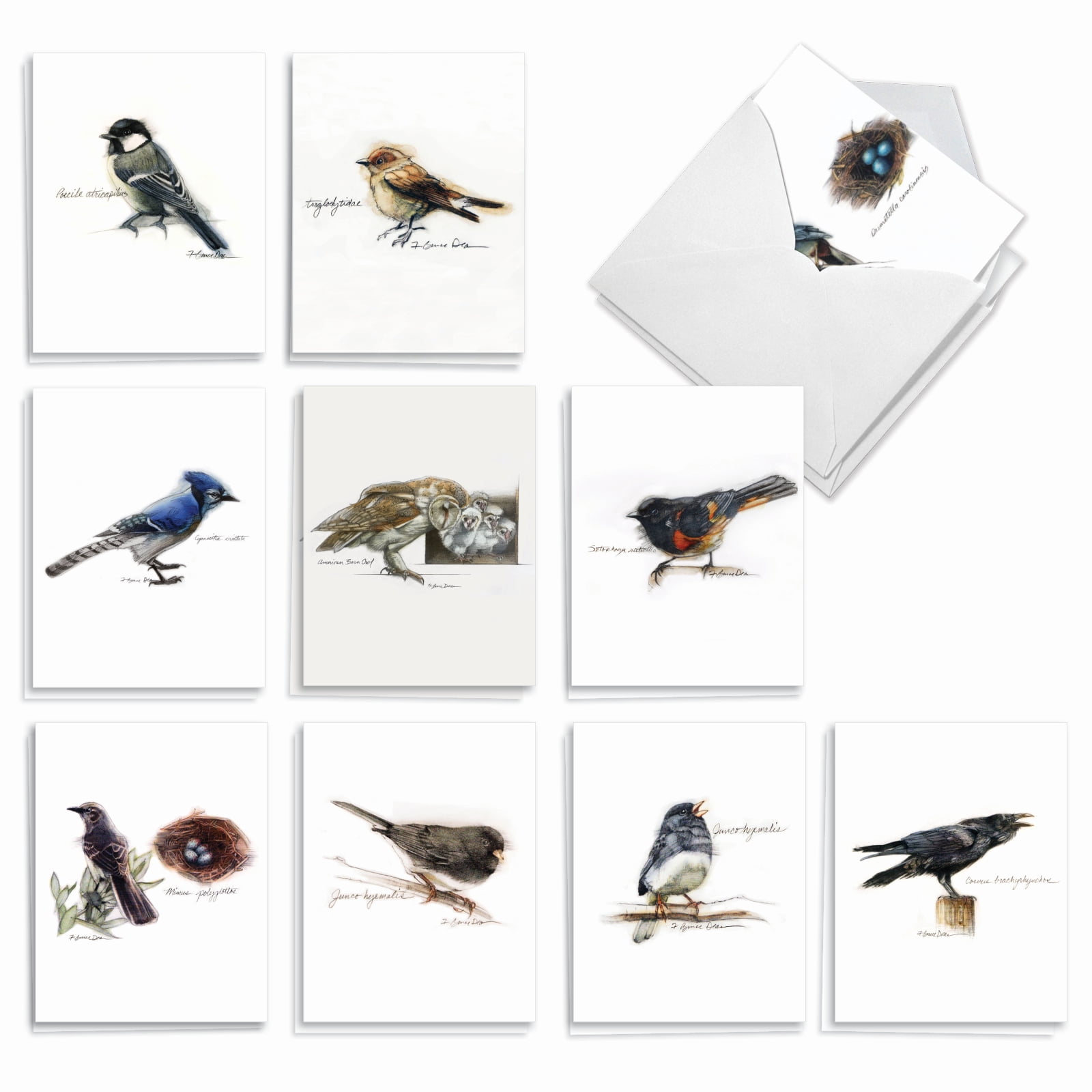 20 Assorted Blank Notecards Set 4 x 5.12 Inch with Envelopes (10 ...