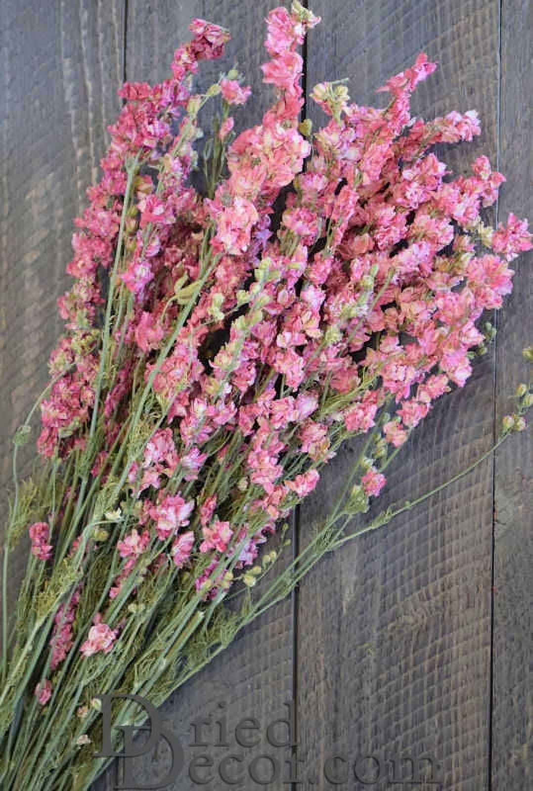 20 Bunches, Dried Pink Larkspur Flowers for Wedding Decor, Centerpieces ...