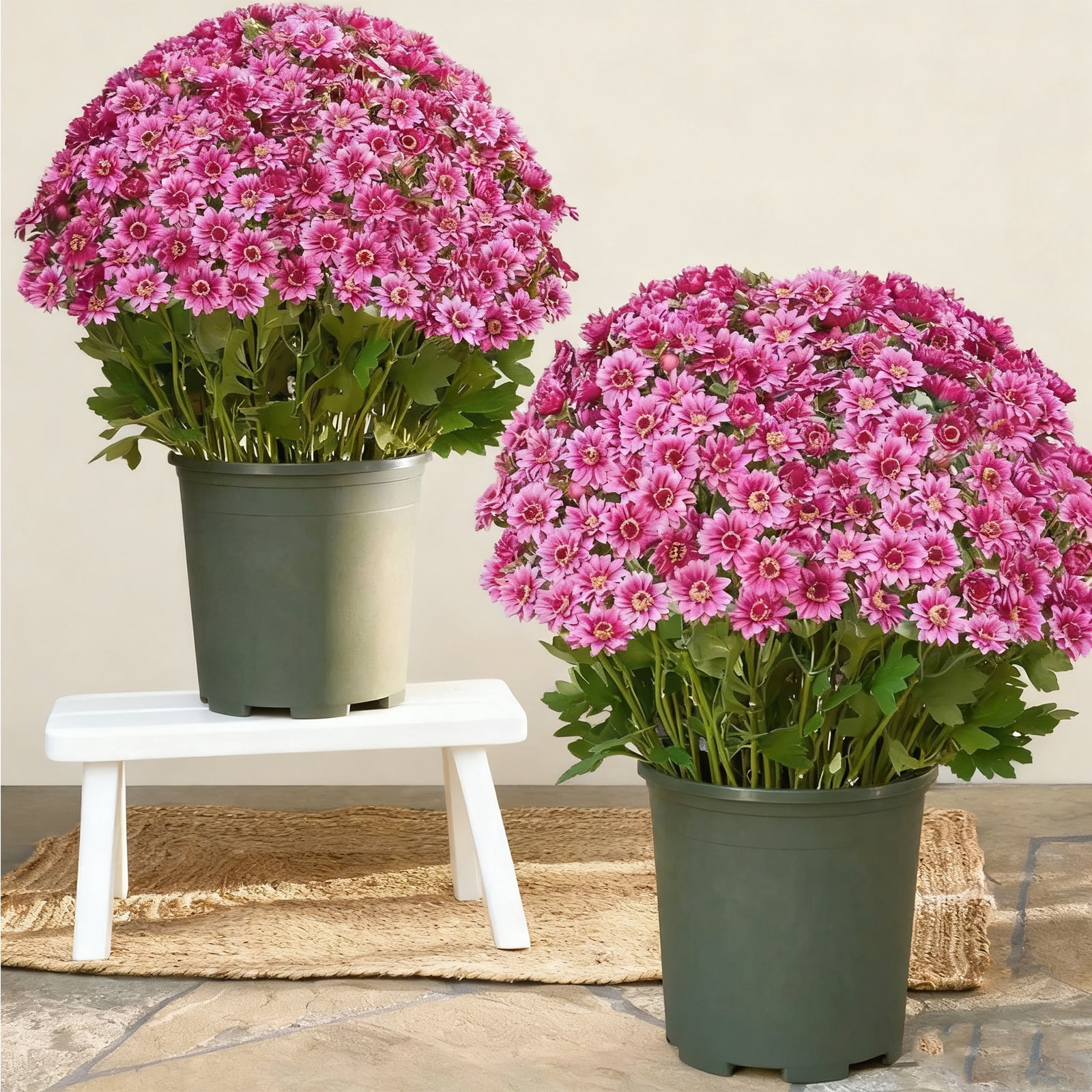 Artificial Mums For Front Porch