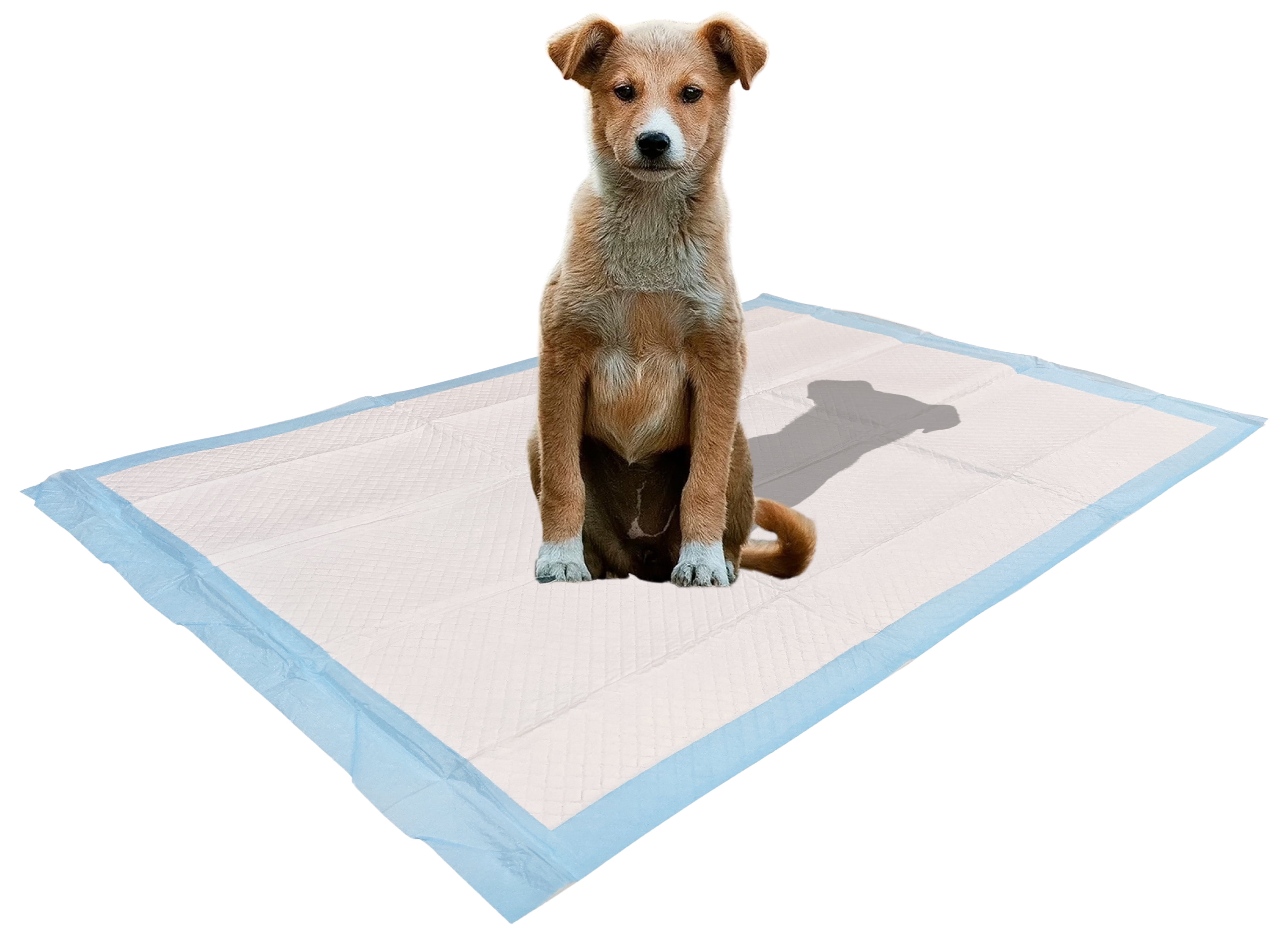 20 Count Ultra Absorbent - Leak-Proof Pee Pads for Dogs Rabbits and ...