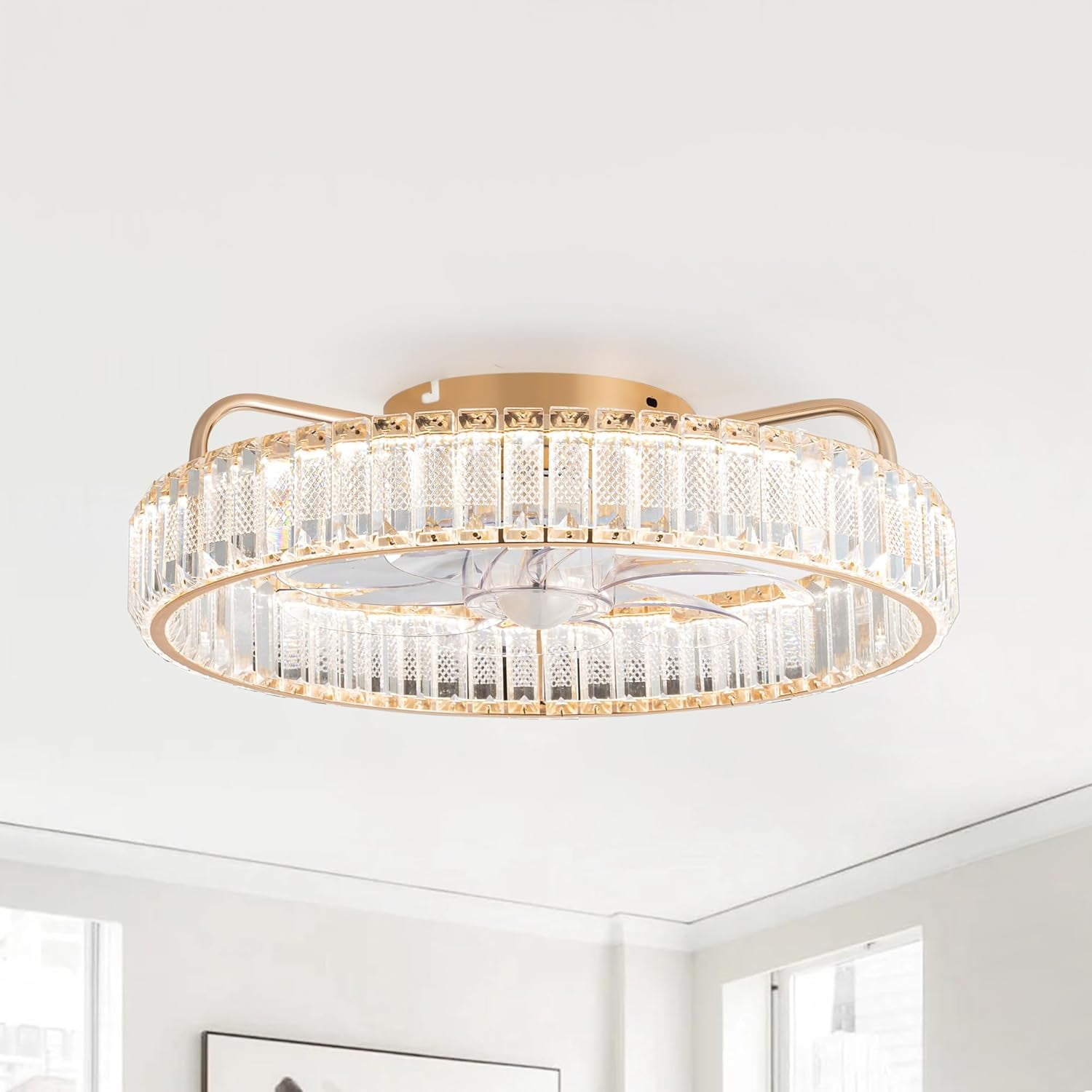 20" Enclosed Ceiling Fans with Lights and Remote, Low Profile Flush ...