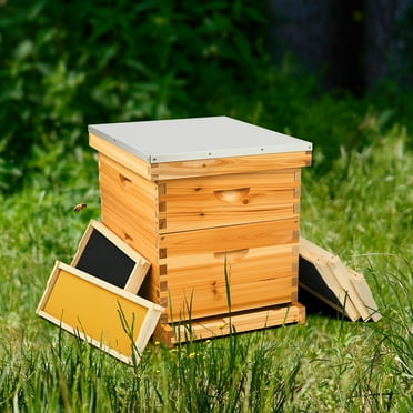 8 Frame Beehive Kit with Screened Bottom Board Dipped in 100% Beeswax ...