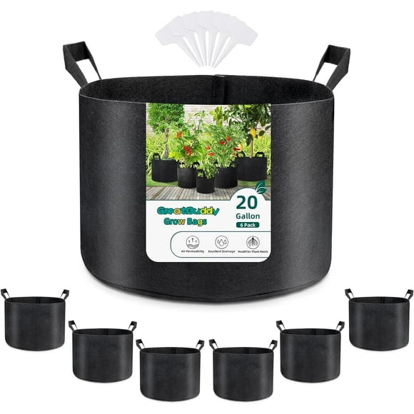 20 Gallon Pots Plants