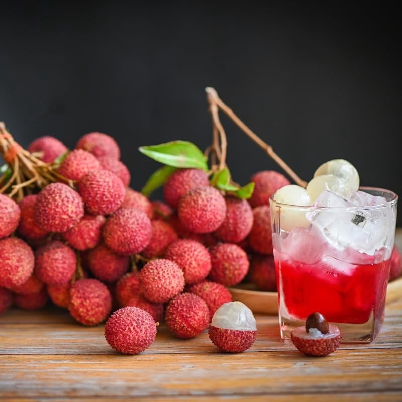 20 Giant Lychee Seeds Exotic Fruit Heirloom Sweet Tropical Fruit Litchi ...