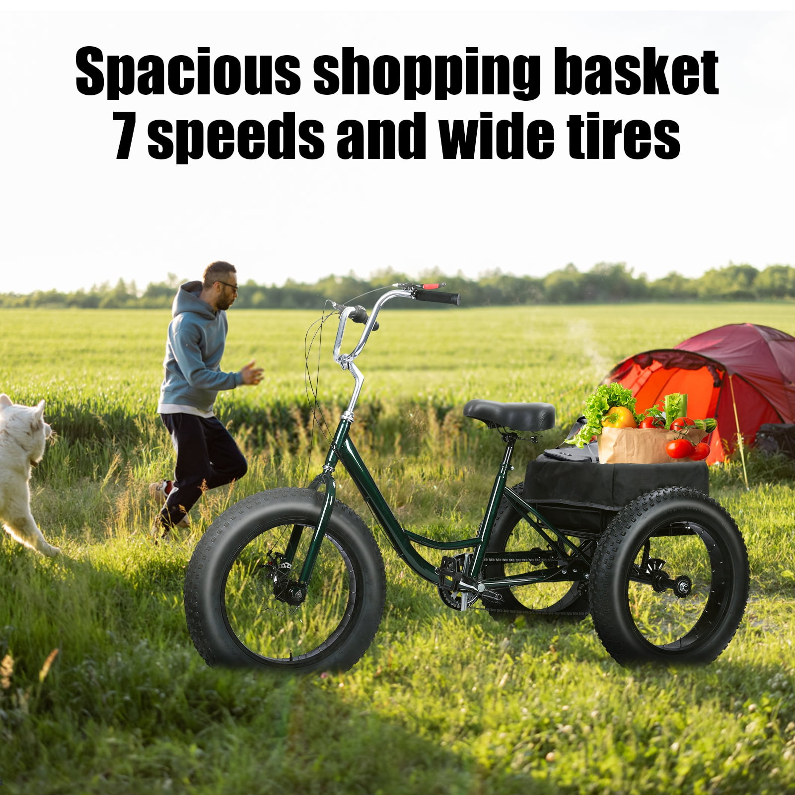 20 Inch Adult Tricycle, Snow Tires Tricycle, Drift Trike for Adult, 7 ...