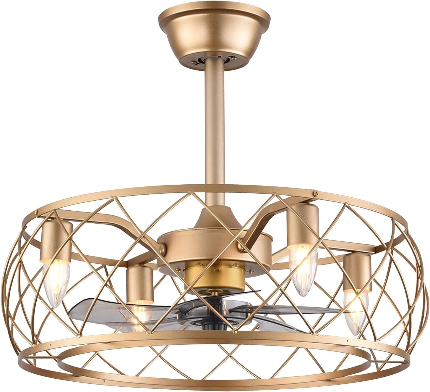 20 Inch Caged Ceiling Fan with Lights and Remote 3 Speeds Adjustable ...