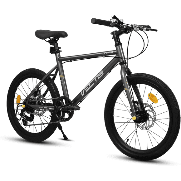 Concord 20 Inch Bike