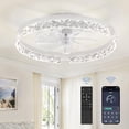 20 Inch Low Profile Ceiling Fans with Lights and Remote, Fandelier ...