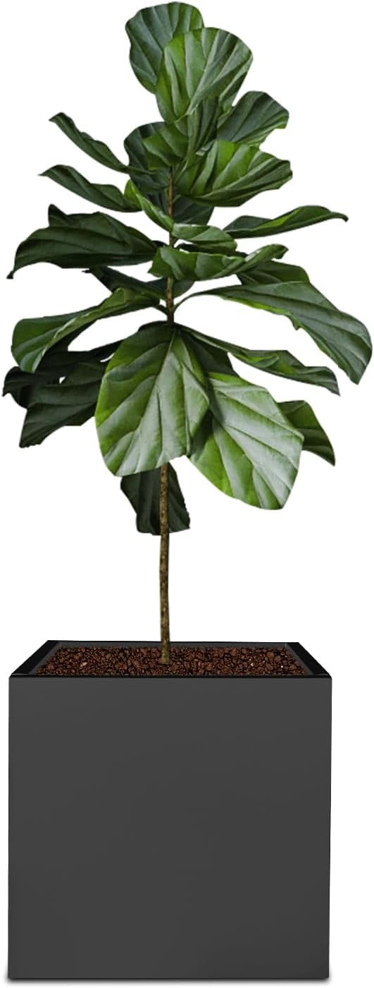 20" L x20 W x20 H Metal Flower Boxes Planter Boxes Outdoor Raised ...