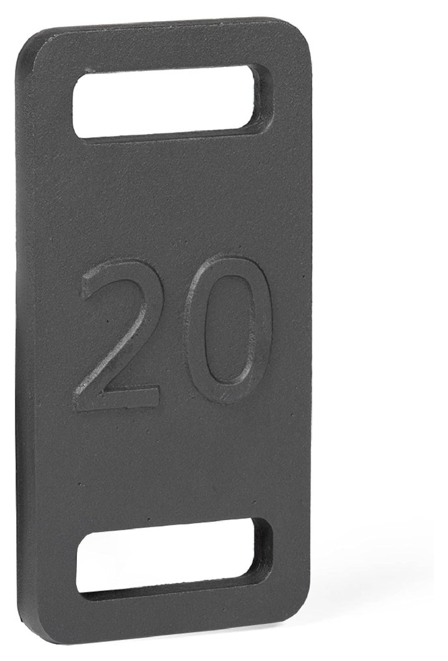 20 LB Cast Iron Ruck Weight Plate, Backpack Weight Training, Dual Wide ...