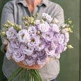 20 Lavender Lisianthus Flower Seeds for Planting -Pelleted Seed ...